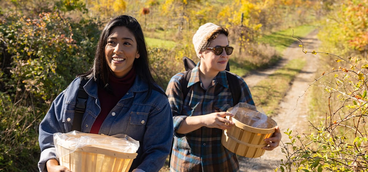 New York City Things To Do in October - Park Central New York