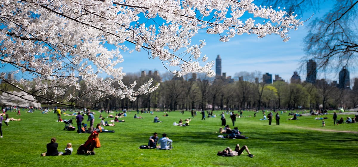New York City Things To Do in April - Park Central New York
