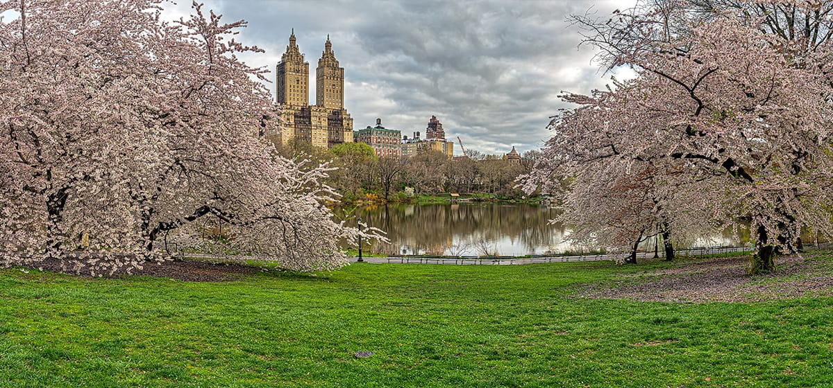 Spring In New York City Wallpapers 35,700+ Spring In New York Stock