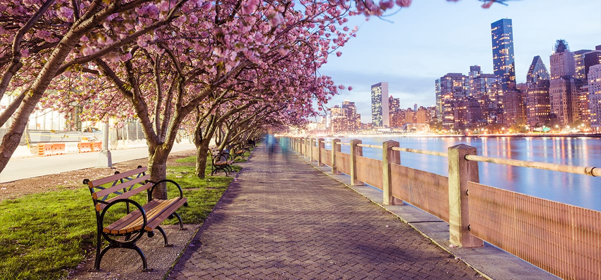 New York City Things To Do in March - Park Central New York