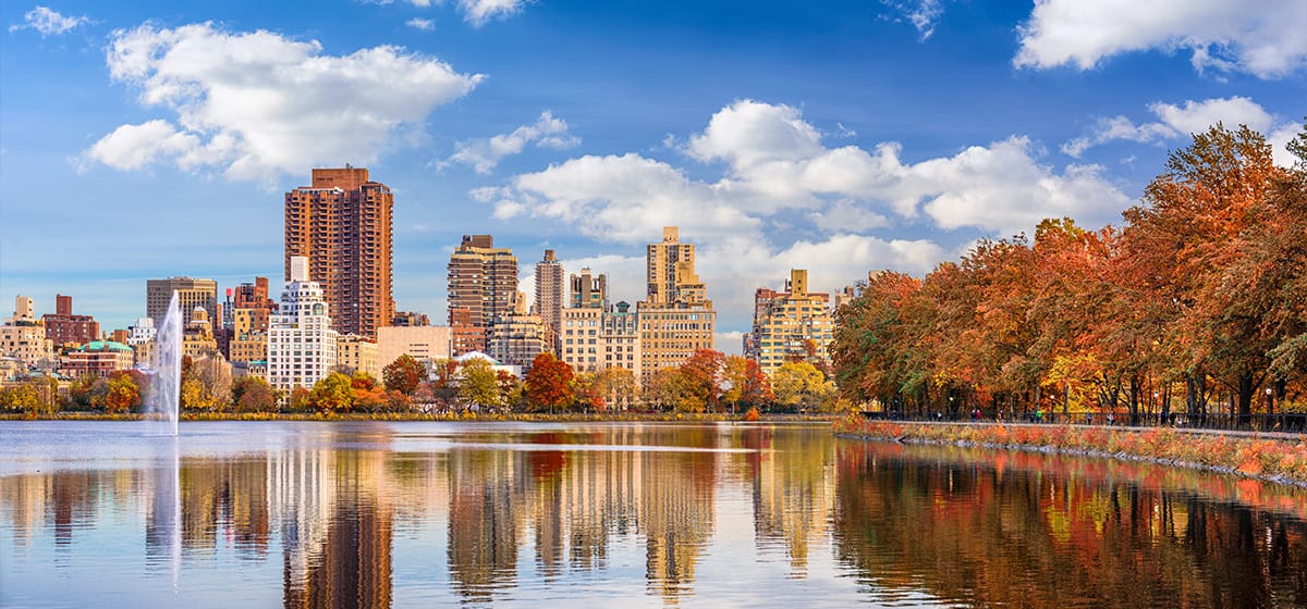 New York City Things To Do in November - Park Central New York