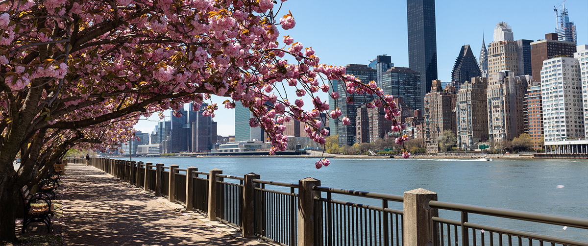 New York City Things To Do in April - Park Central New York